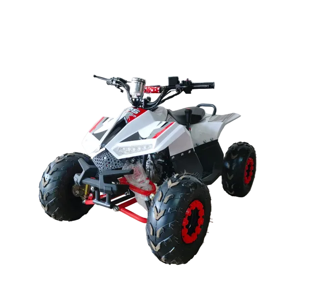 Mini ATV 125CC – The Perfect Off-Road Learning ATV for Kids – E-Scooter ...